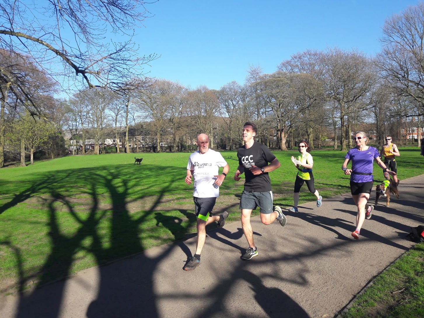 Running injuries are Load management issues – Global Therapies